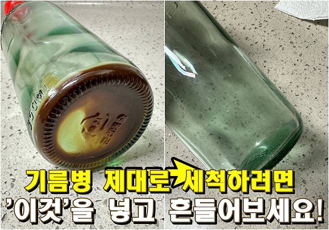 커피찌꺼기 버리지마세요 이것 알면 이제 못 버려요 생활의지혜