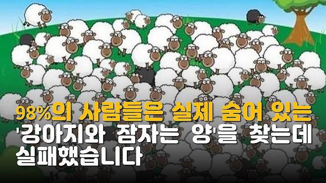 알바해보니까 엄마 아빠가 이해가 돼요 심리테스트 해볼래