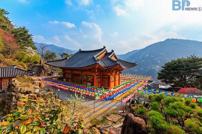 추위도 잊게 만드는 절경” 꼭 가봐야 할 ‘겨울 무료 여행지 2곳 여행탐구