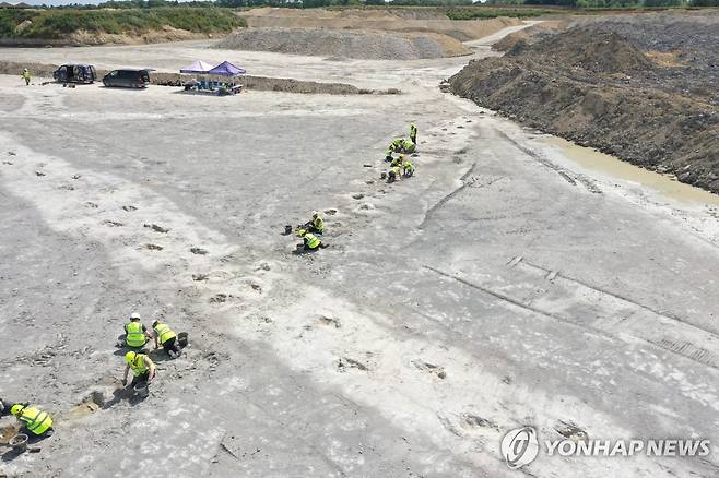 어디 가던 길일까英 채석장서 공룡 발자국 200개 무더기 발굴