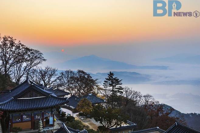 지금 떠나야 진짜 여행 고수 1월에 꼭 가야 할 숨은 명소 3곳 여행탐구