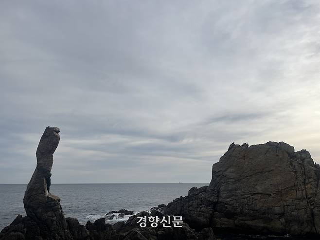 ‘여기가 포토존 인증의 시대 척하면 삼척이지