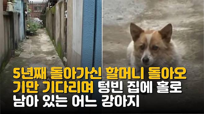 아이들이 고양이랑 같이 자고 싶다길래 허락했더니 잠시후 엄마가 마주한 상황 애니멀 플래닛