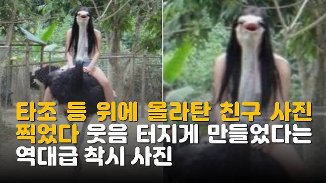 충격적인 카카오 사내 복지 심리테스트 해볼래