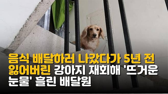 나 진짜 들어가야 돼케이지에 안에 있기 싫어서 애원하는 토끼 애니멀 플래닛