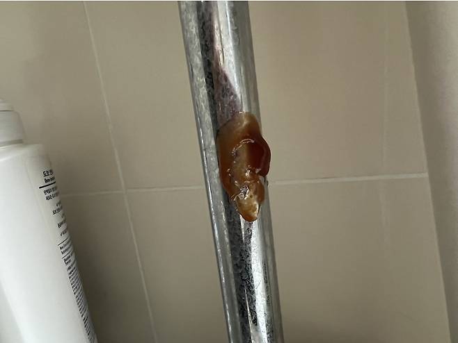 욕실에 녹 생겼는데 그냥 놔두세요 이것으로 지우니 속이 다 시원하네요 오늘살림루틴