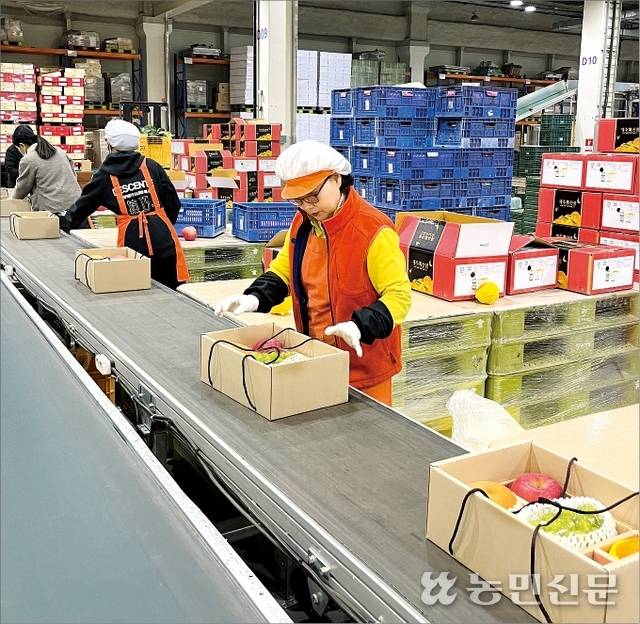 과일 싸고 맛 좋은데”불황 속 설 선물 구색맞추기 분주