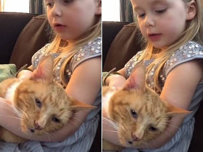 아픈 고양이 품에 안고서 토닥토닥 자장가 노래 불러준 아이가 오열한 이유 애니멀 플래닛