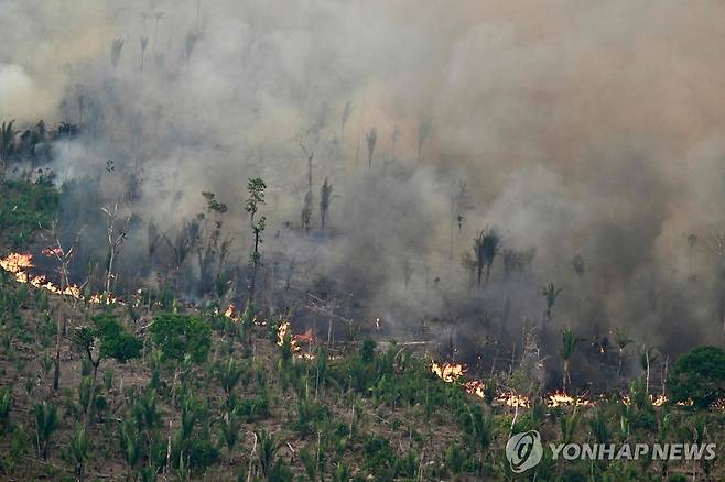 작년 브라질 화재 피해 남한 면적의 3배 규모전년보다 79 ↑