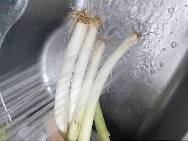 대파 얼리지 마세요~ 이것 넣으면 한 달 내내 싱싱해요 오늘살림루틴