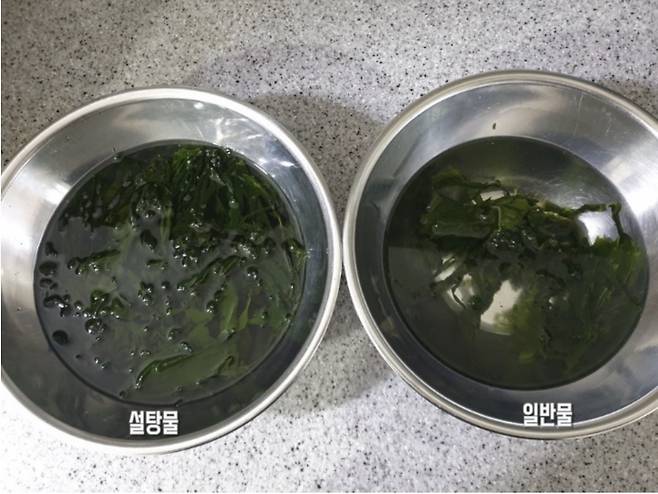 미역 불릴 때 이것 꼭 넣으세요 야들야들함이 미쳤습니다 오늘살림루틴