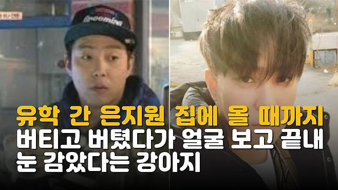 박사 학위를 가진 의사의 30분 심리테스트 해볼래