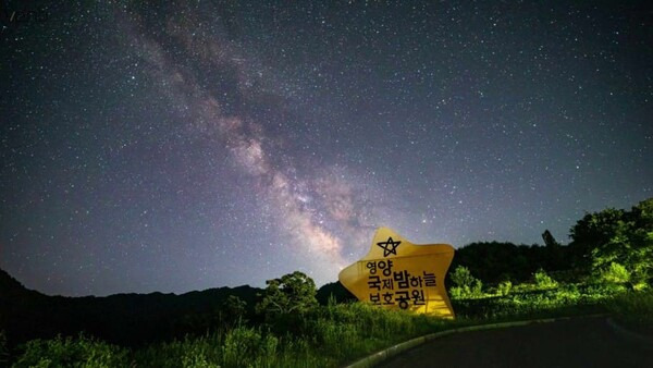 눈 내린 자작나무숲에서 은하수까지 경북 영양군 겨울 여행지 Best4 추천 이앤투어픽