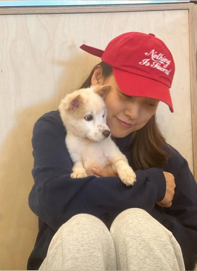 60억짜리 집이 있지만 유기견 봉사하는 낙으로 산다는 여가수 대본은 내운명