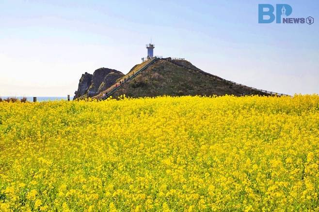 ‘설 연휴엔 여기로 떠나세요 인생샷 건질 국내 여행지 추천 여행탐구