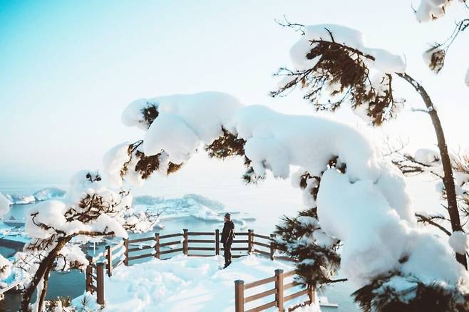 눈 덮인 산과 푸른 바다의 조화” 아직 잘 알려지지 않은 겨울 여행지 여행탐구