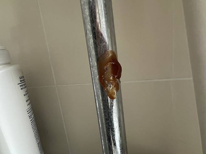 욕실에 녹 생겼는데 그냥 내버려둔다면 바보입니다 오늘살림루틴