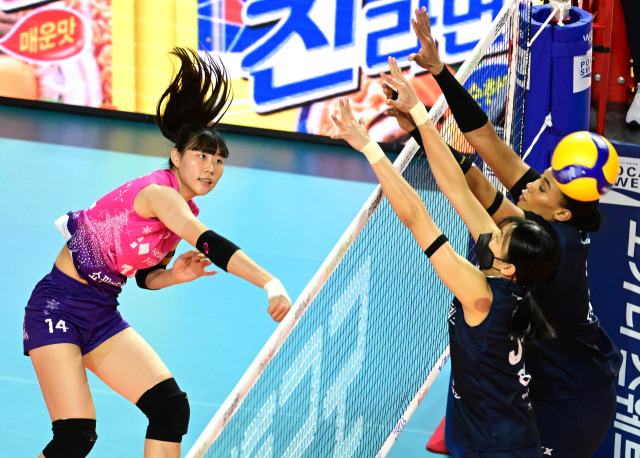 연봉 5000만원 대반전 김연경 강소휘 박정아 양효진 다음이라니흥국생명 함박웃음 어떻게 배구여제 파트너 됐나