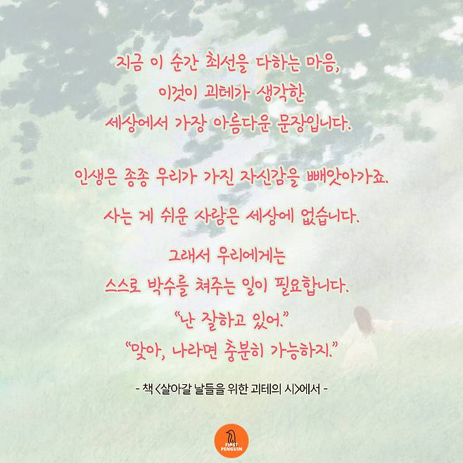 매일 1000만 조회수 기록한 美 ‘국민 판사 할머니의 감동 조언 인생의 전부는” 퍼스트펭귄
