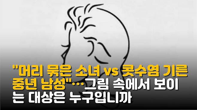 고양이에게 상어 쿠션 사주면 안되는 이유 애니멀 플래닛