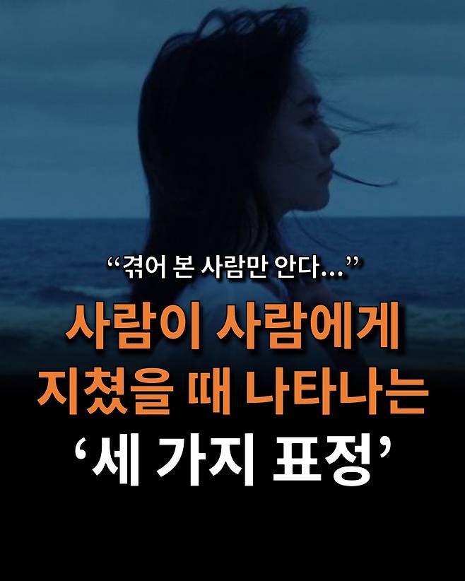 겪어 본 사람만 안다 사람이 사람에게 지쳤을 때 나타나는 세 가지 표정 꿀벌책방