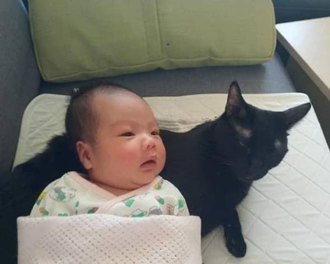 하루종일 아기 옆에 껌딱지처럼 붙어서 유모 역할 수행한다는 고양이 애니멀 플래닛