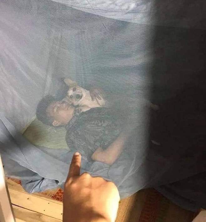 오늘은 절대로 아빠랑 자면 안된다고 했는데 현장 들키자 댕댕이 표정 애니멀 플래닛