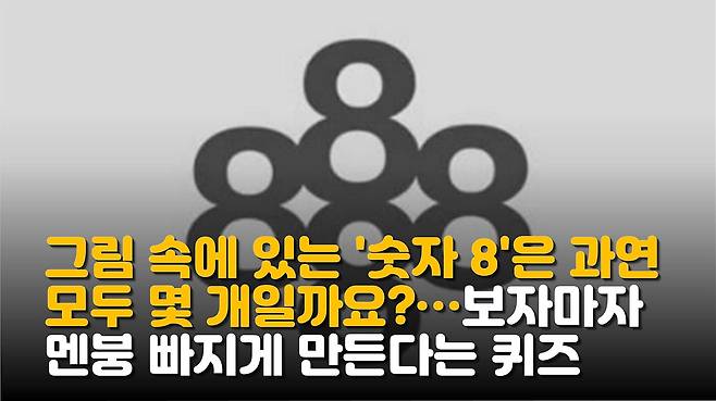 집사가 주사기에 우유 담아서 챙겨주자 맛있게 냠냠 먹는 아기 고양이 애니멀 플래닛