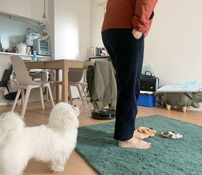 강아지가 아빠한테 자기 밖에 나가서 산책하고 싶다 어필하는 귀여운 방법 애니멀 플래닛