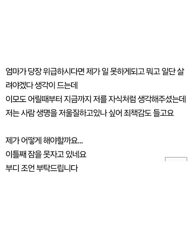 엄마가 제 간을 이모한테 기증하라고 합니다 테스트모아