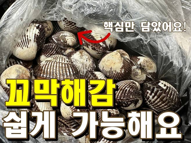 딸기 더 이상 잔류농약 먹지 마세요 제발 이렇게 씻어보세요~ 생활의지혜