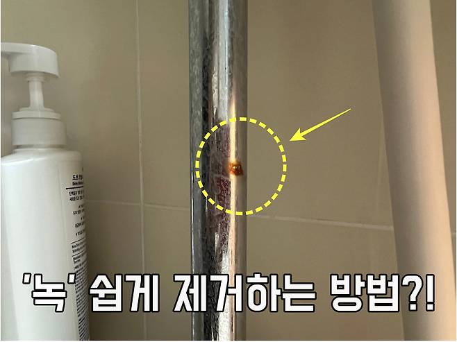 양파 냉장보관하지 마세요~ 여기에 올려만 두면 끝 오늘살림루틴