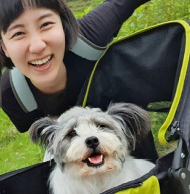 우리 함께 갈까안락사 위기에서 가족을 만난 강아지의 기적 같은 변화 애니멀톡