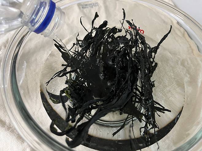 미역 그냥 불리지 마세요 이것으로 10배 더 야들야들해집니다 텐꿀팁