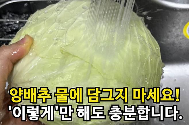 감자 그냥 보관하지 마세요 이렇게 하면 먹는 내내 신선함이 그대롭니다 텐꿀팁