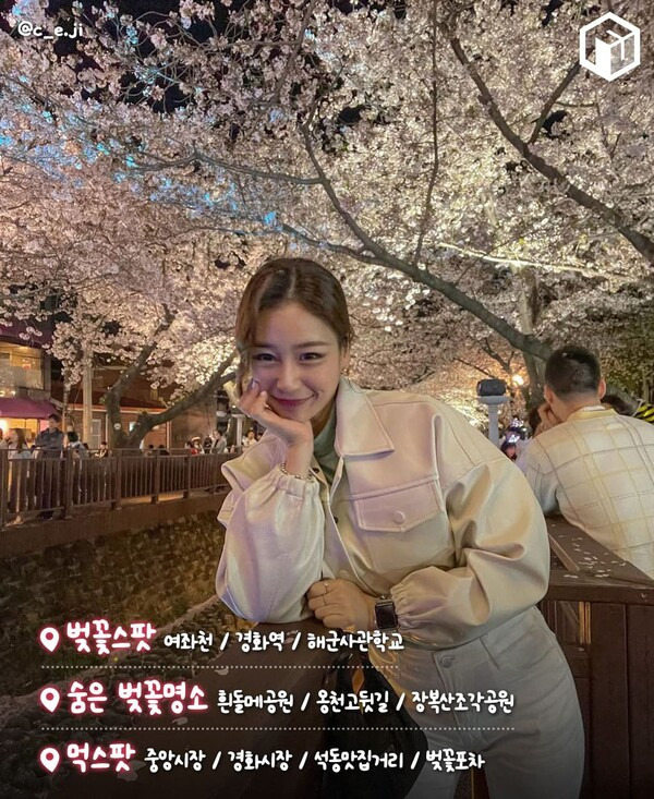 2025 진해 군항제 일정 및 당일치기 코스 안내 여행톡톡