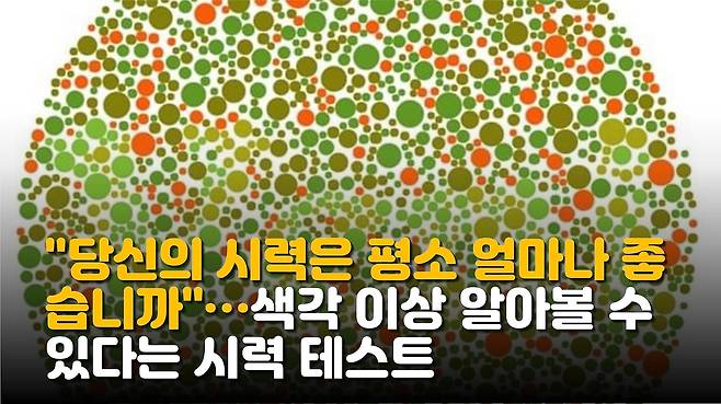 엄마 몰래 동생 꿀밤 쥐어박다가 딱 걸린 형아 댕댕이 애니멀 플래닛