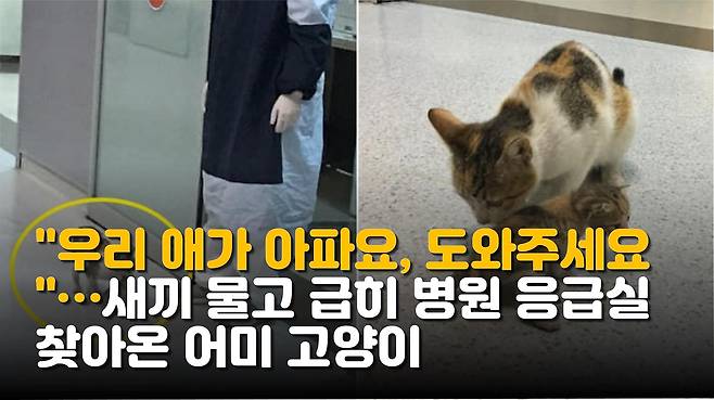아빠한테 안겨 있는 아기가 진심 너무 귀여웠던 강아지의 생각지 못한 행동 애니멀 플래닛