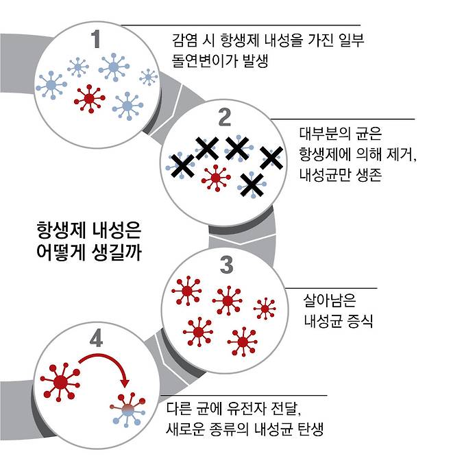 항생제 ‘끝판왕도 이기는 슈퍼 박테리아 Ai로 해법 찾는다