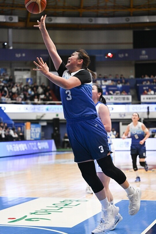 Wkbl 6라운드 리뷰 타니무라 리카 신지현 그들의 마지막 불꽃