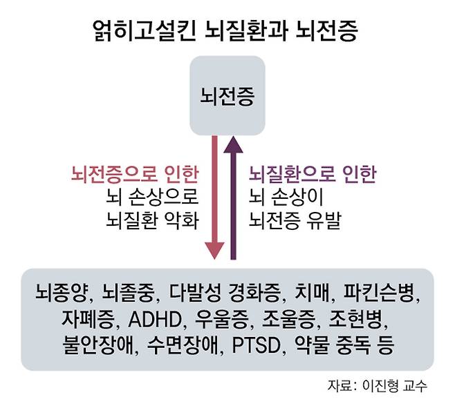 뇌전증 발병률 높이는 뇌질환 뇌질환 악화시키는 뇌전증 이진형의 뇌 우리 속의 우주