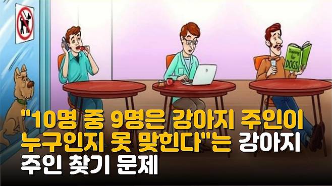 셋톱박스가 따뜻해서 좋은지 Tv 다이 속에 들어가 잠든 이해불가 고양이 애니멀 플래닛