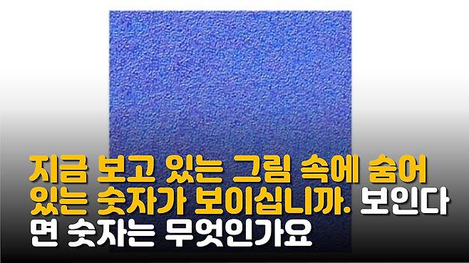 잠 잘때만 되면 거실에 있던 댕댕이가 사라지는 이유 애니멀 플래닛