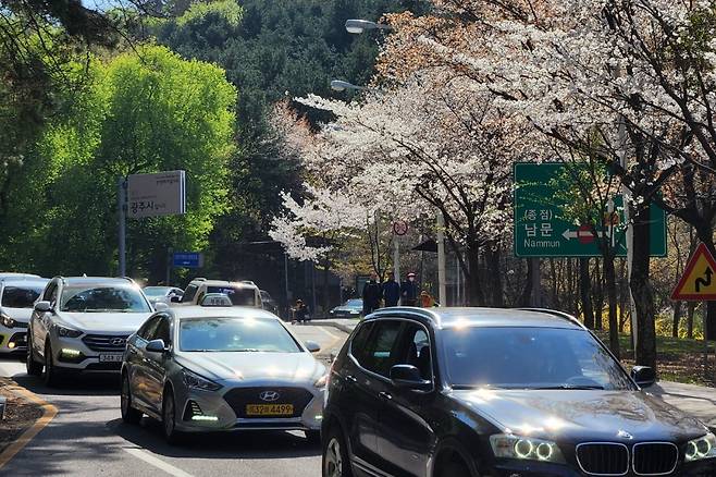 벚꽃 명소에 펼쳐진 길을 따라 벚꽃 드라이브 즐기기 경치 좋은 서울 근교 드라이브 4 인포매틱스뷰 세상모든여행정보