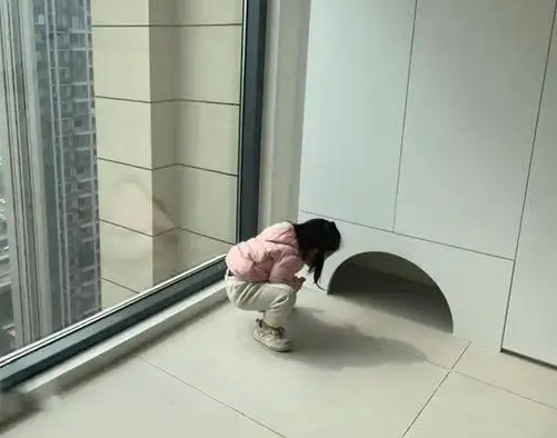 딸에게 고양이 두 마리를 선물하면 벌어지는 일 재미진