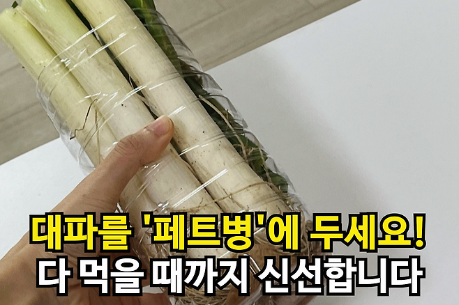 문고리에 페트병을 끼우세요 믿기 힘든 결과가 나타납니다 텐꿀팁