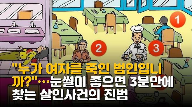 캣타워에 고양이 머리만 툭 떨어진 줄 알고 심장 철렁했어요 애니멀 플래닛