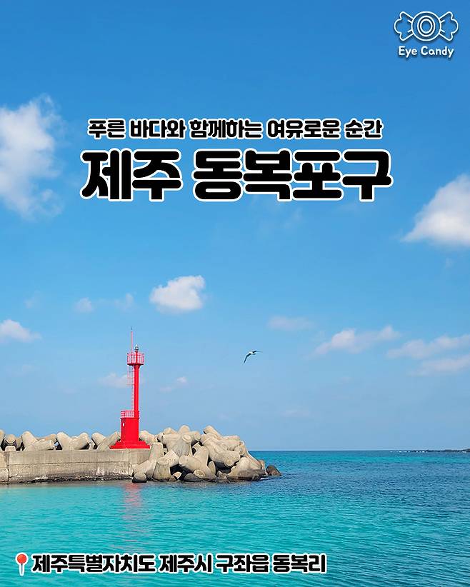푸른 바다와 맑은 하늘이 만나는 곳 제주 동복포구 💙 내일로여행
