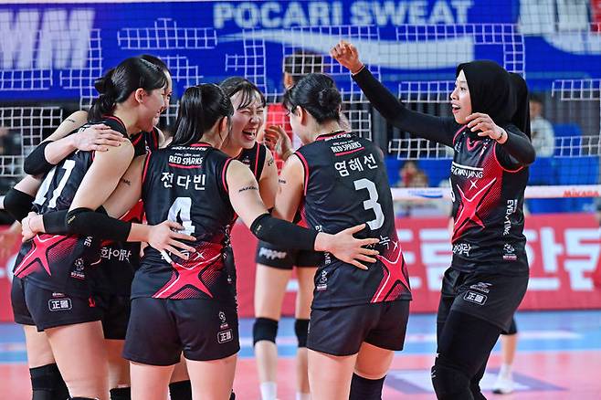 정관장, 페퍼 완파하고 2위 재도약…KB손해보험도 3연승 성공