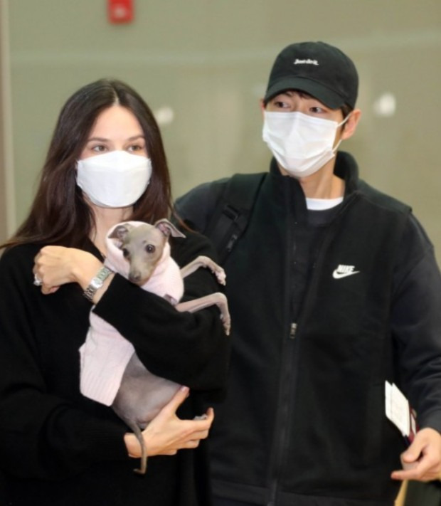 동갑이거나 나이 차이 크지 않게 결혼한 연예인 커플 부부 투데이 셀럽패션